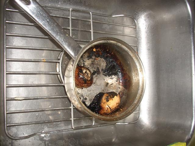 Automatic Fire Alarm with Burnt Food - Westwood Fire Company